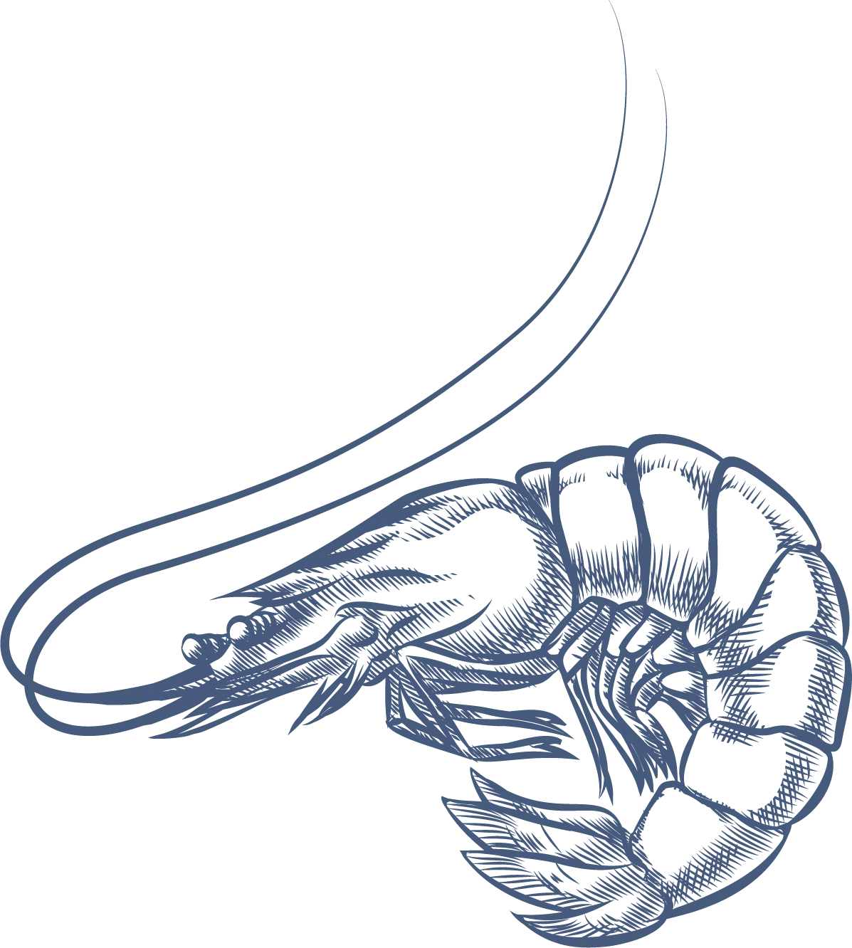 Santa Playa Mariscos