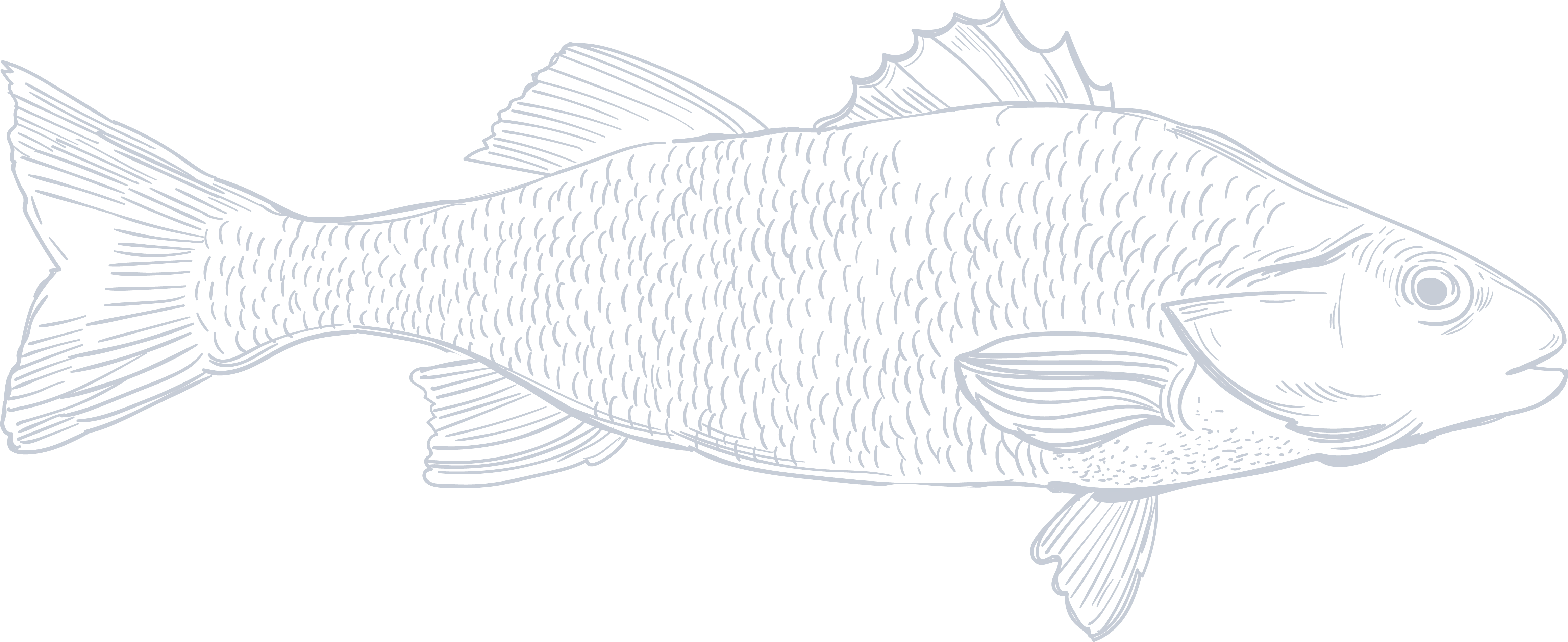 Santa Playa Mariscos