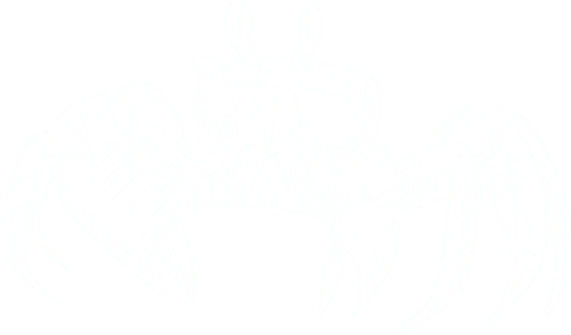 Santa Playa Mariscos