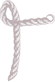 Santa Playa Mariscos